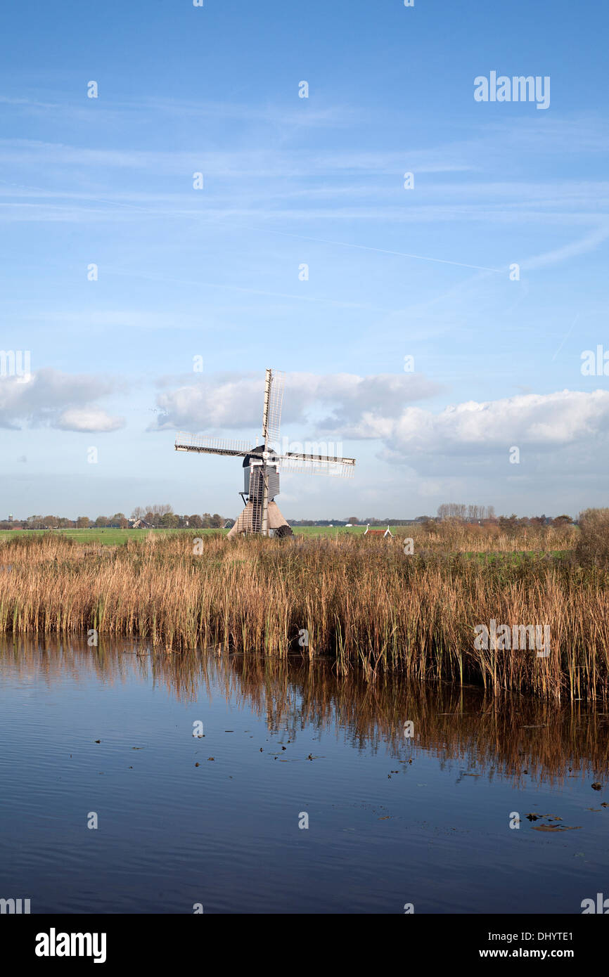 Dutch windmill "Broekmolen" in polder Alblasserwaard, South Holland ...