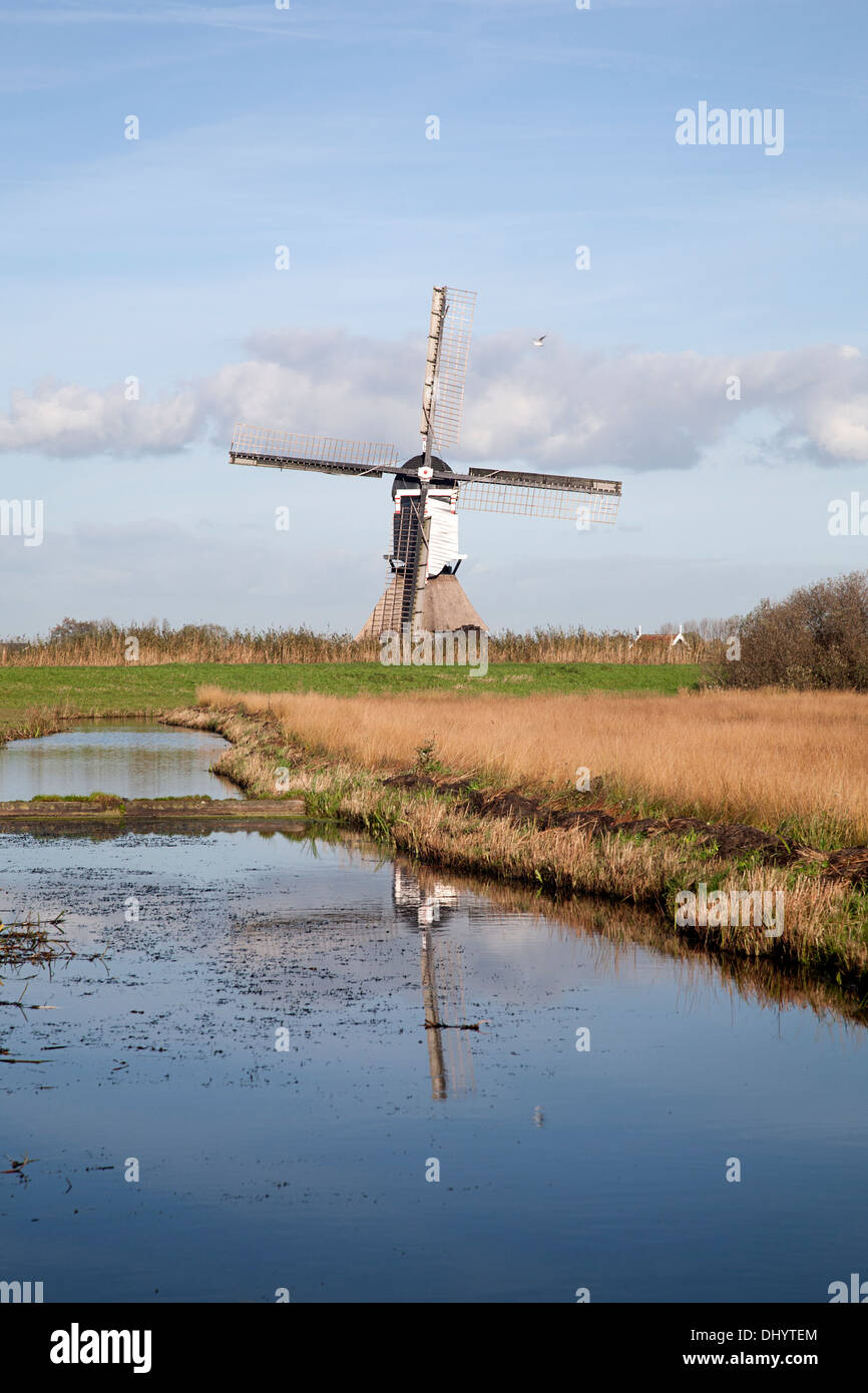 Dutch windmill in polder Alblasserwaard, South Holland, Netherlands ...