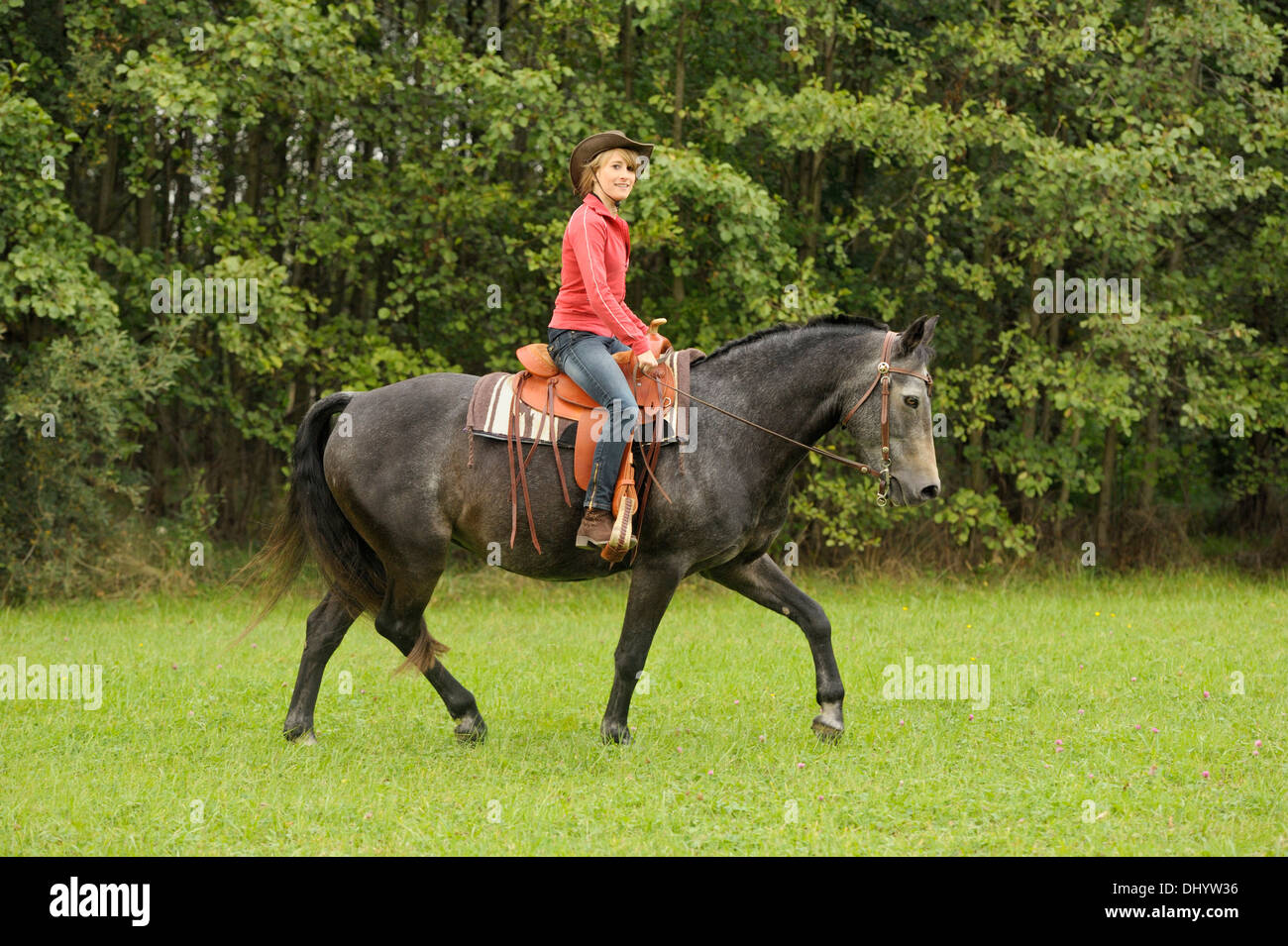 Western riding hi-res stock photography and images - Alamy