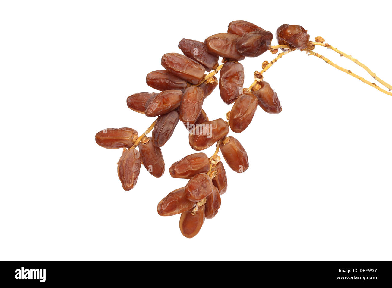 Two branches of dates isolated on white background Stock Photo - Alamy