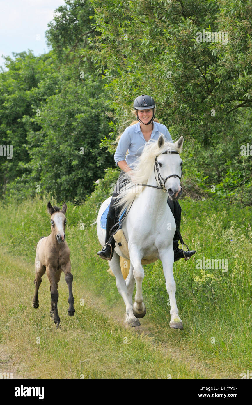 Ride out hi-res stock photography and images - Alamy
