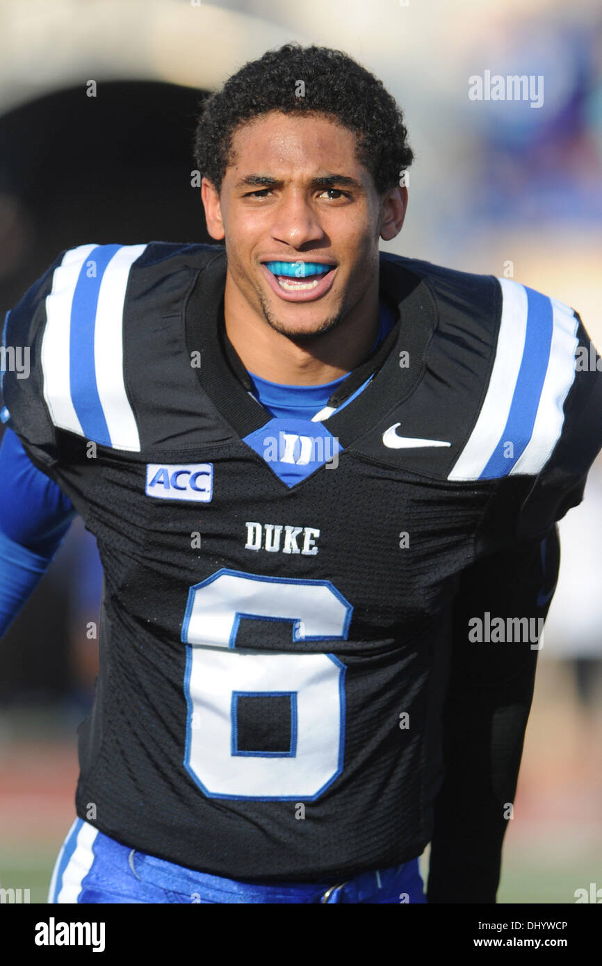 Blue cockrell hi-res stock photography and images - Alamy