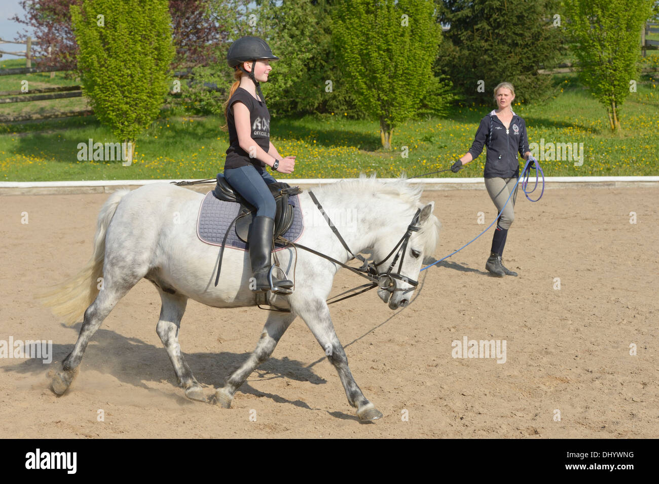 Lunge lesson, girl on pony, trotting without reins Stock Photo - Alamy