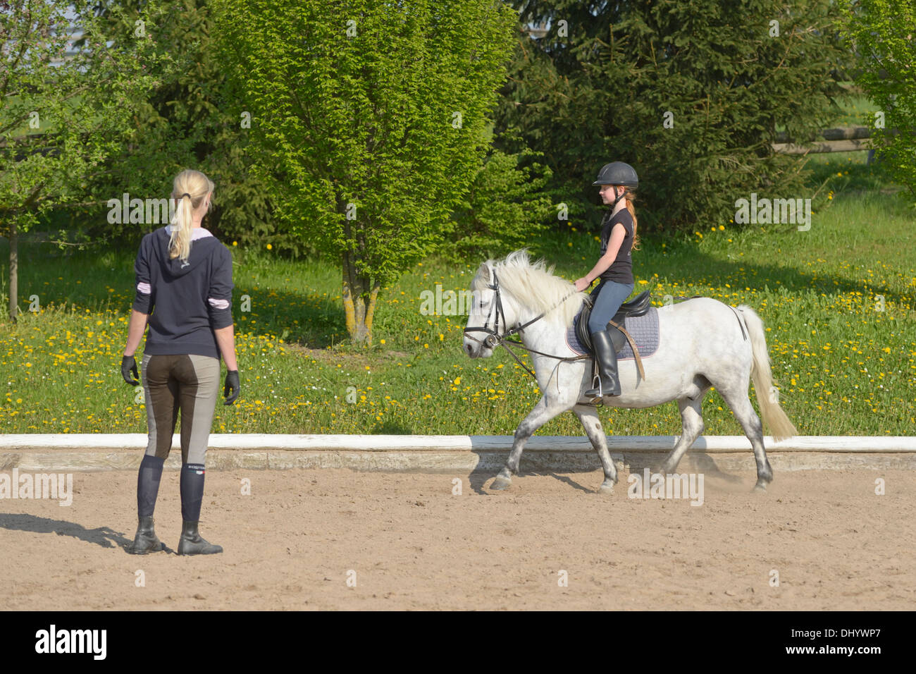 Riding lesson, girl on Pony with side reins, trotting Stock Photo - Alamy