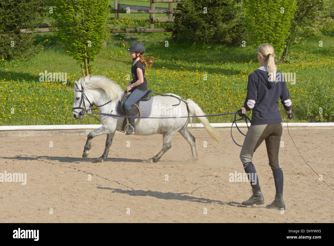 Lunge lesson, girl on pony, canter without reins Stock Photo - Alamy
