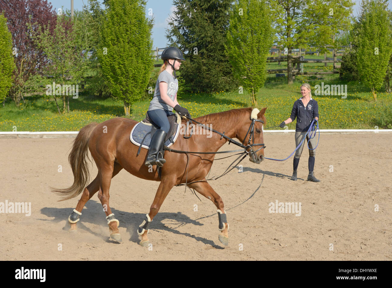 Lunge lesson horse hi-res stock photography and images - Alamy