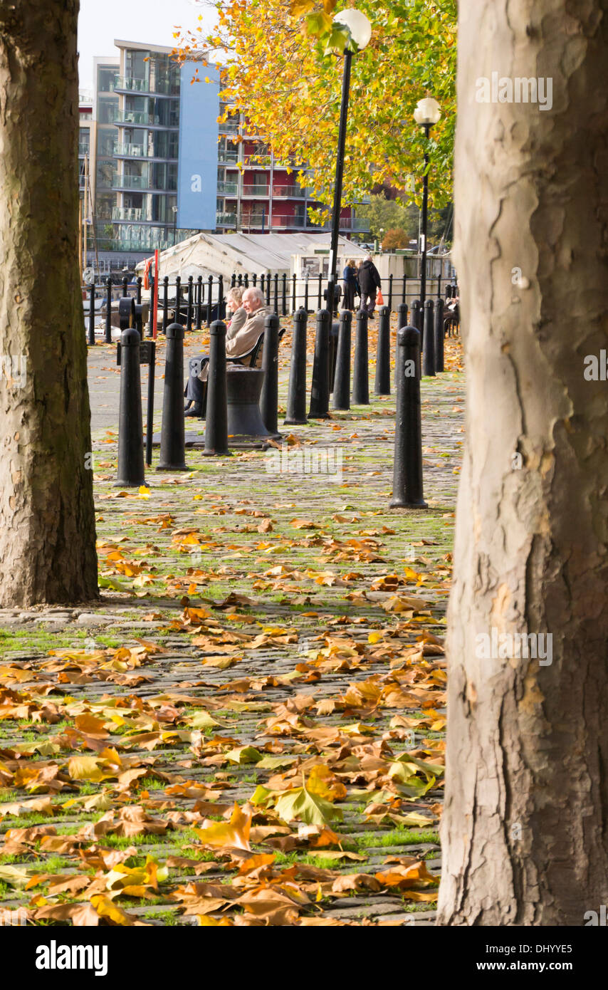 Autumn on Bristol Harbour and Harbourside England UK Stock Photo - Alamy