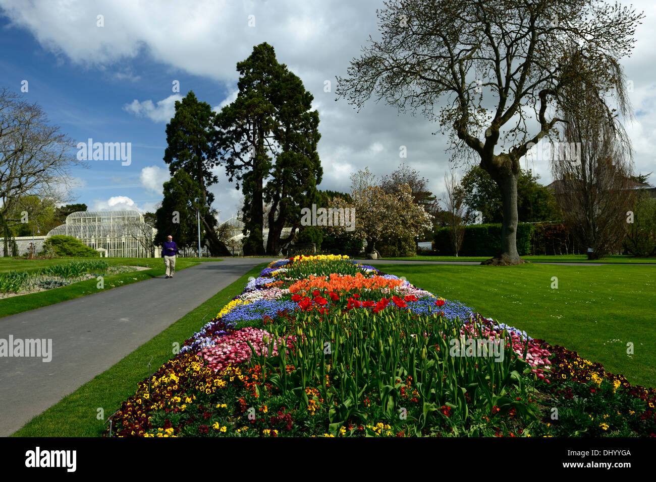 Spring flower bedding hi-res stock photography and images - Alamy