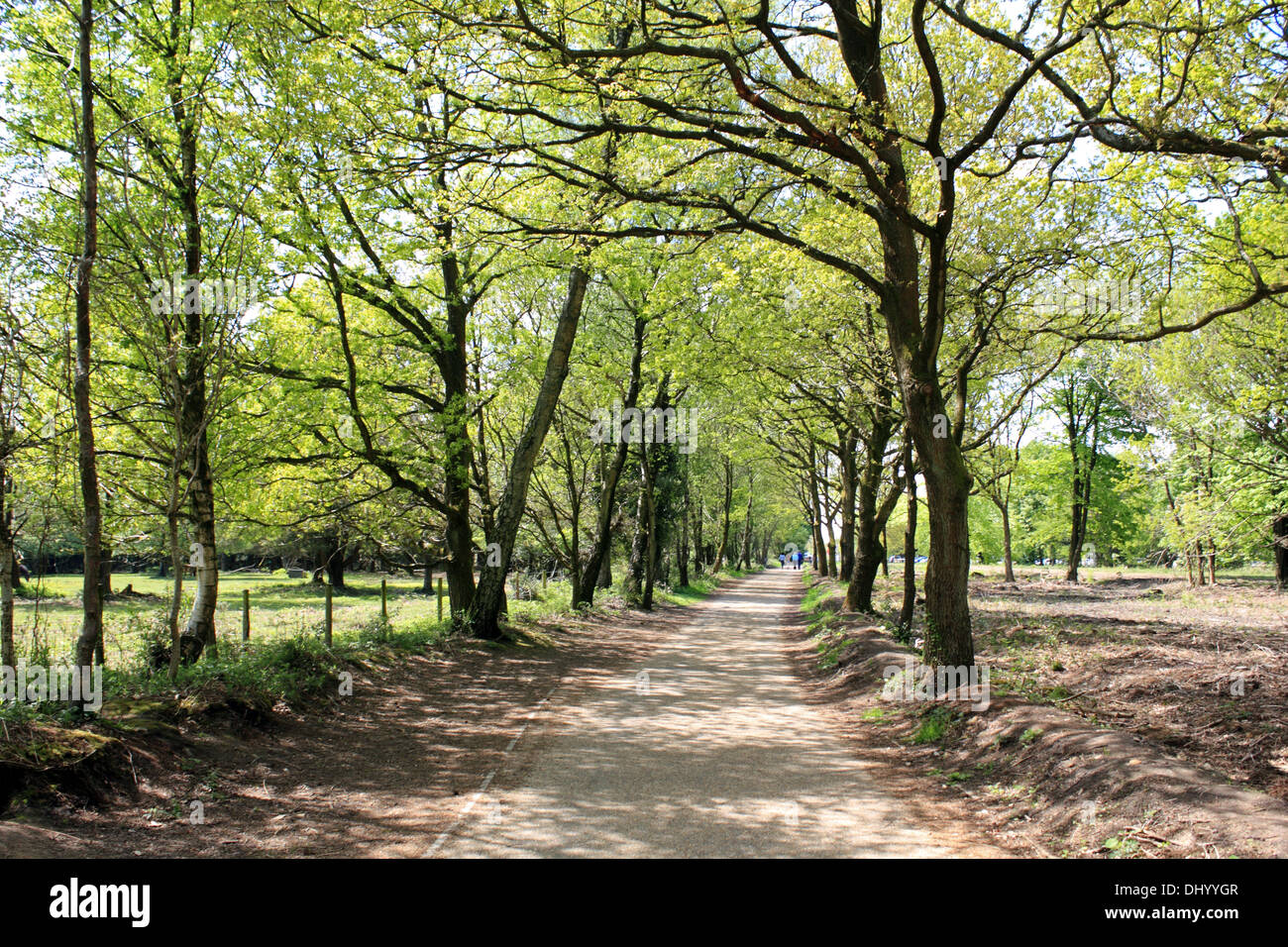 Hindhead surrey hi-res stock photography and images - Alamy
