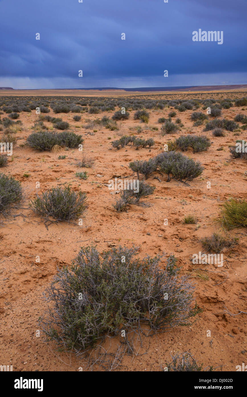 Clouds over the desert hi-res stock photography and images - Alamy