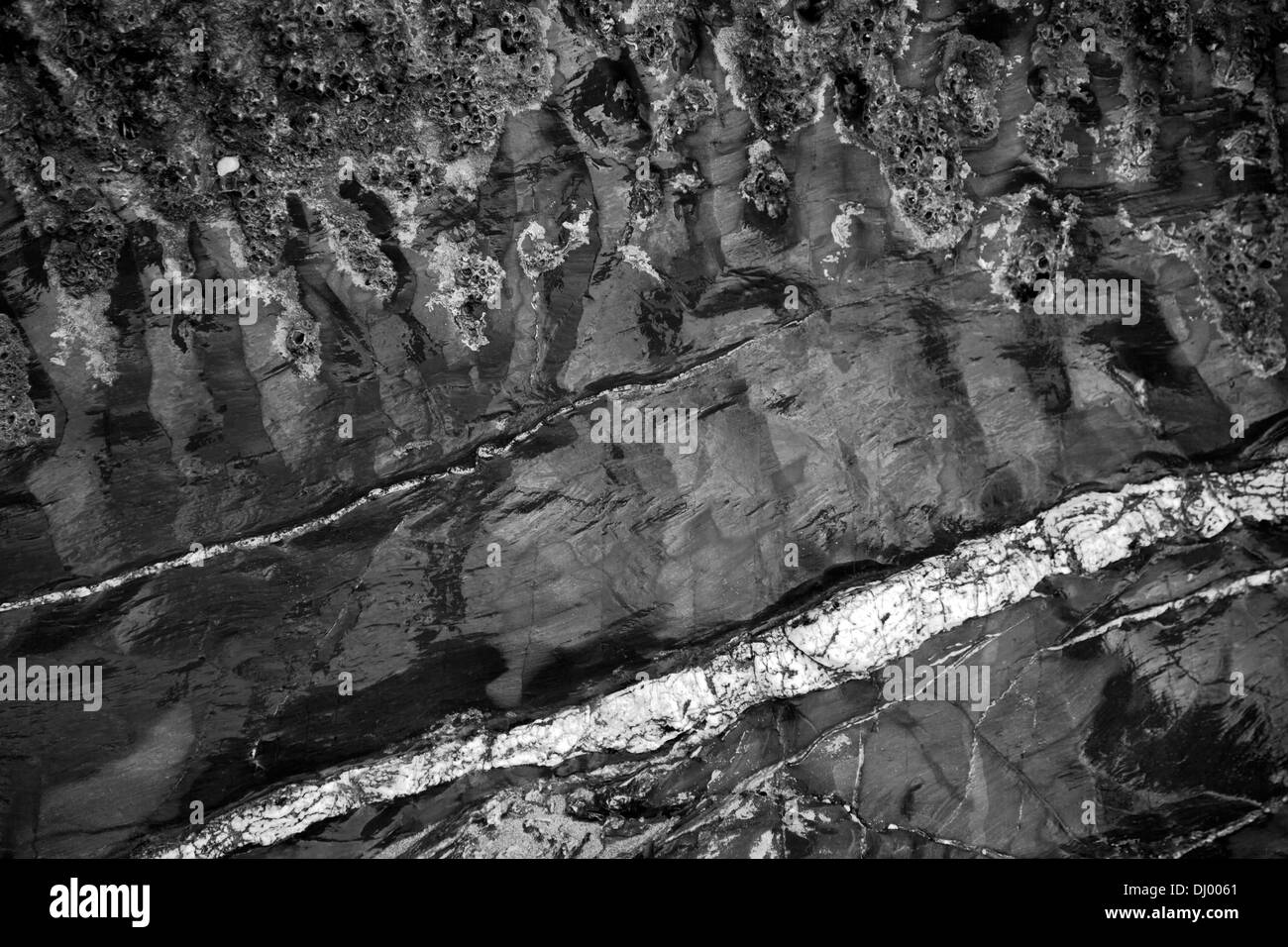 Rock detail black and white Stock Photo - Alamy