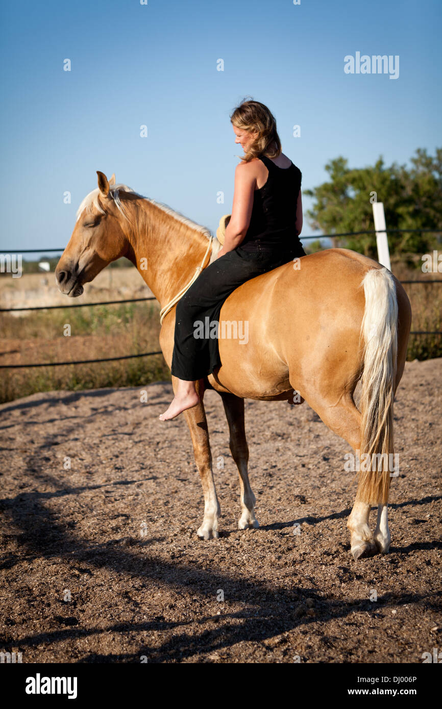 young woman training horse outside in summer choreography Stock Photo ...