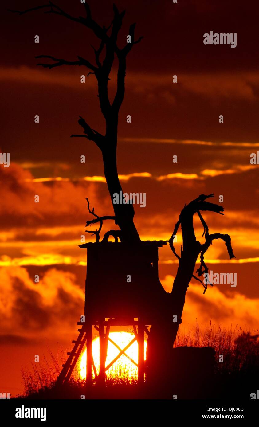 Briesen, Germany. 11th Nov, 2013. The evening sky shines red under dark ...