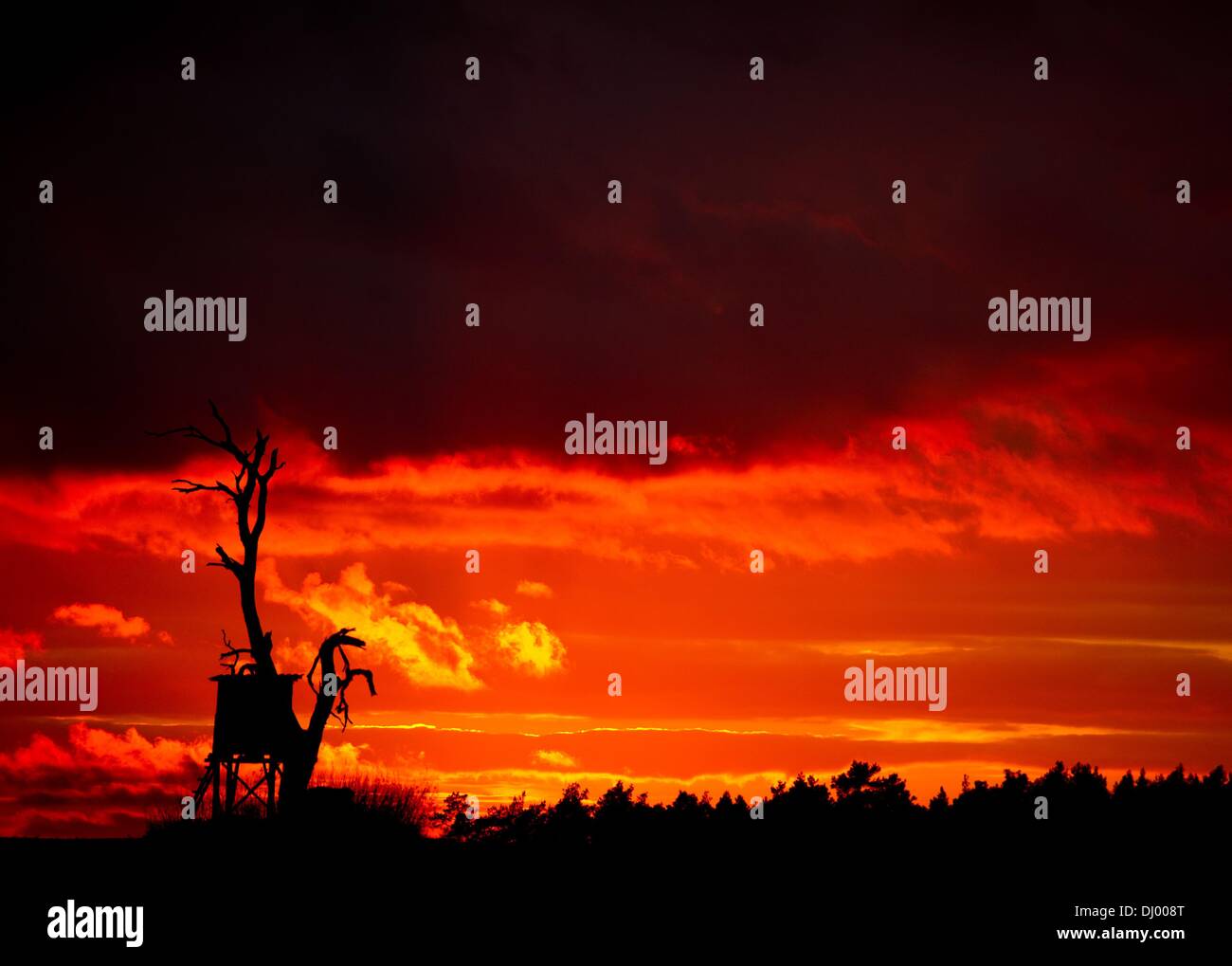 Briesen, Germany. 11th Nov, 2013. The evening sky shines red under dark ...