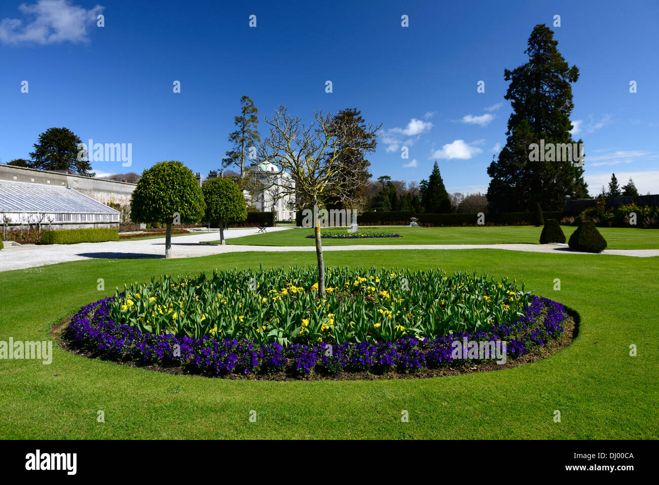 powerscourt estate spring bed border plant planting display formal ...