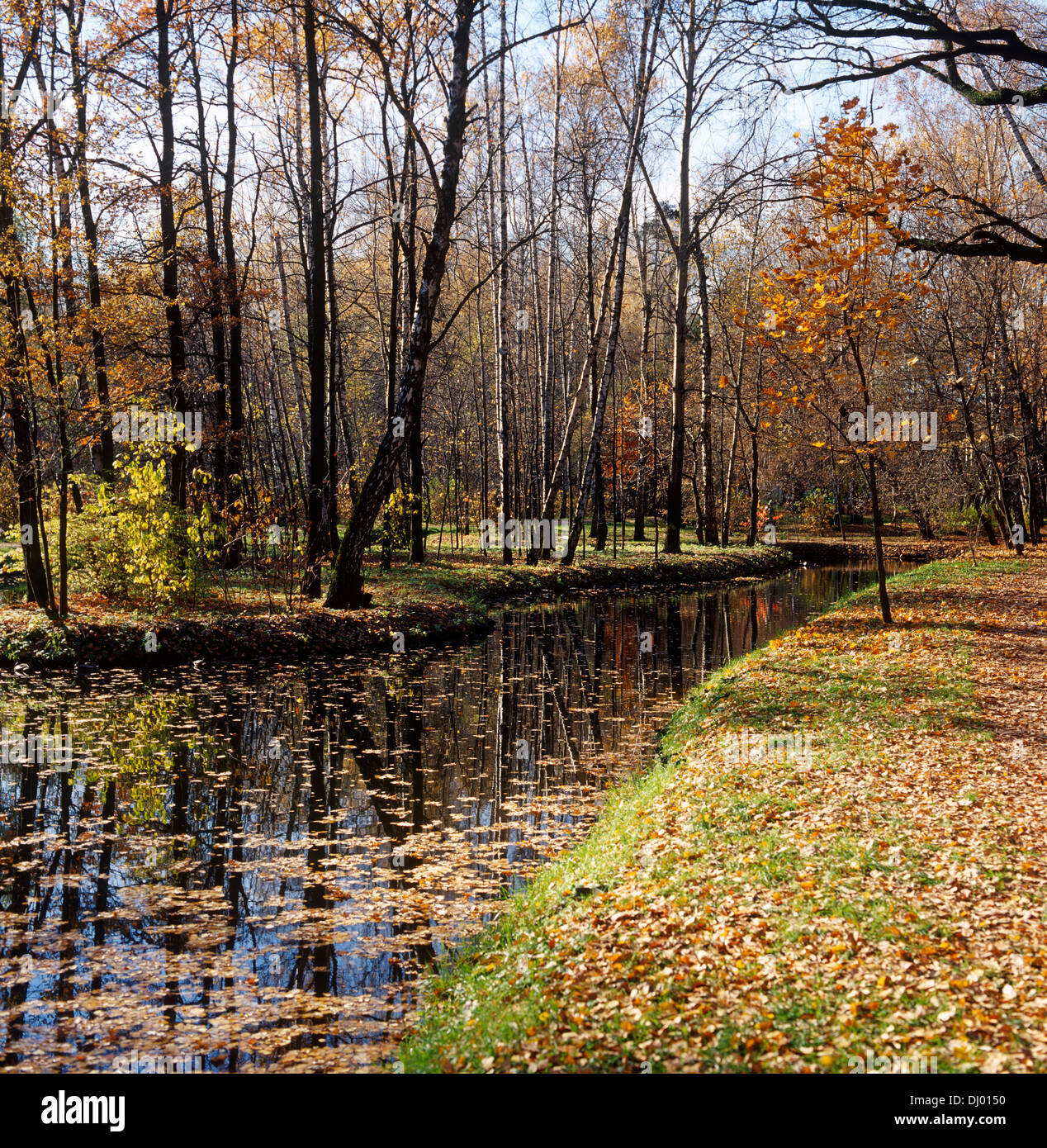 Moscow sokolniki hi-res stock photography and images - Alamy