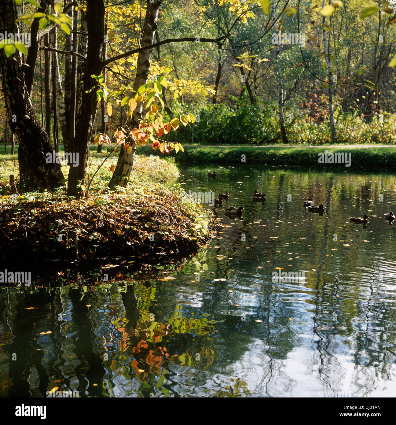 Autumn in Sokolniki park Stock Photo - Alamy