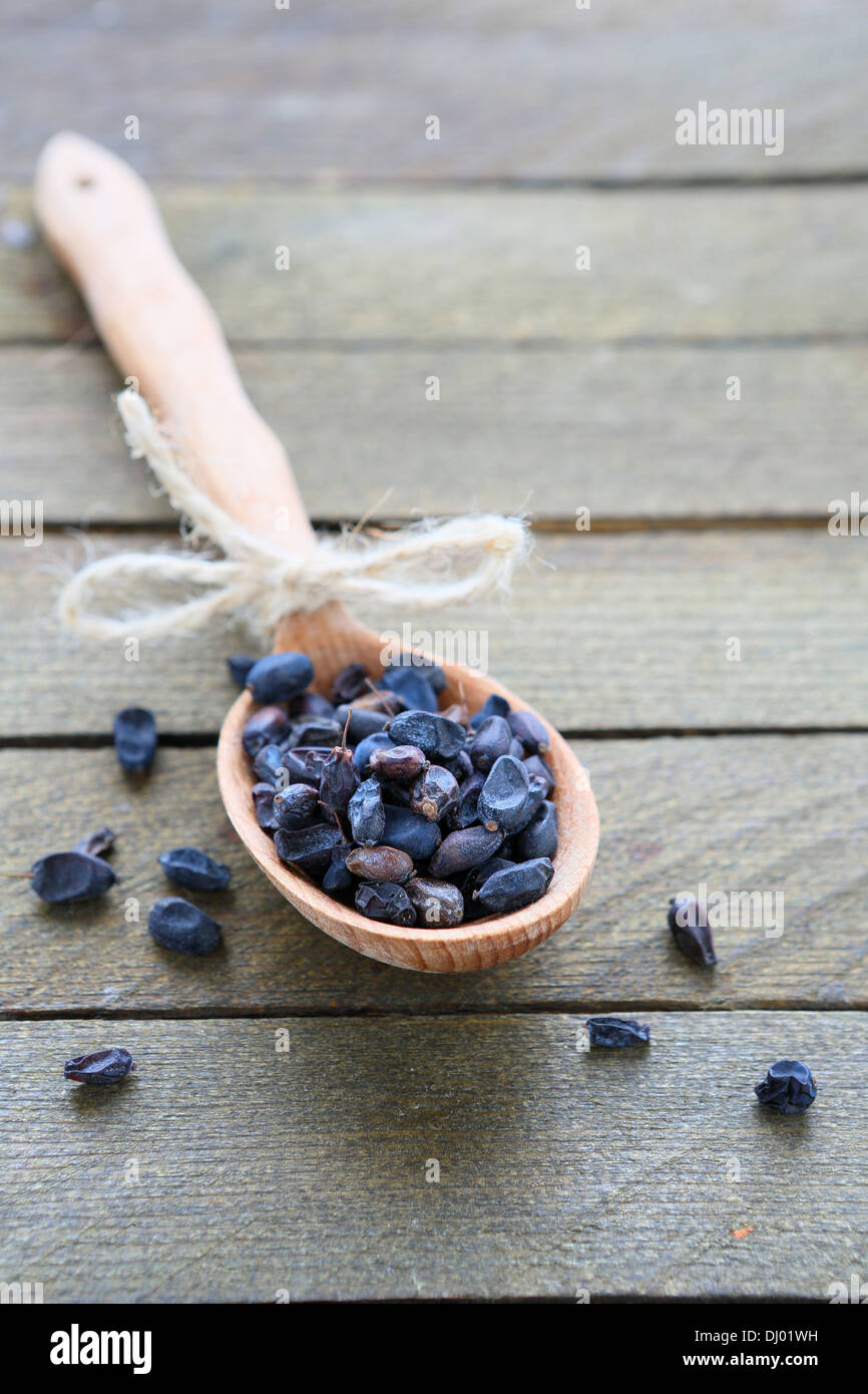 dry barberry blue - condiment, food Stock Photo - Alamy