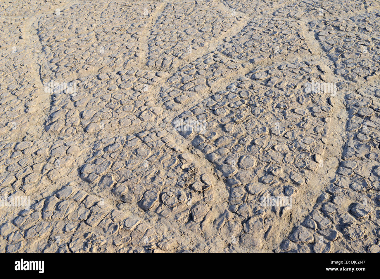 Desert with cracks Stock Photo - Alamy