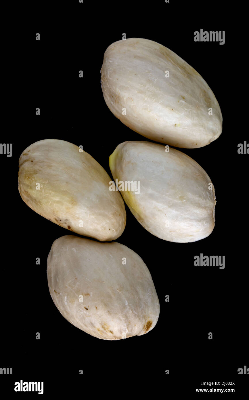 Empty shell pistachio nuts hi-res stock photography and images - Alamy