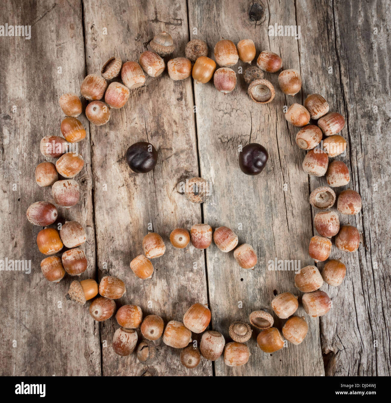 Sad face of acorns on a wooden background Stock Photo - Alamy