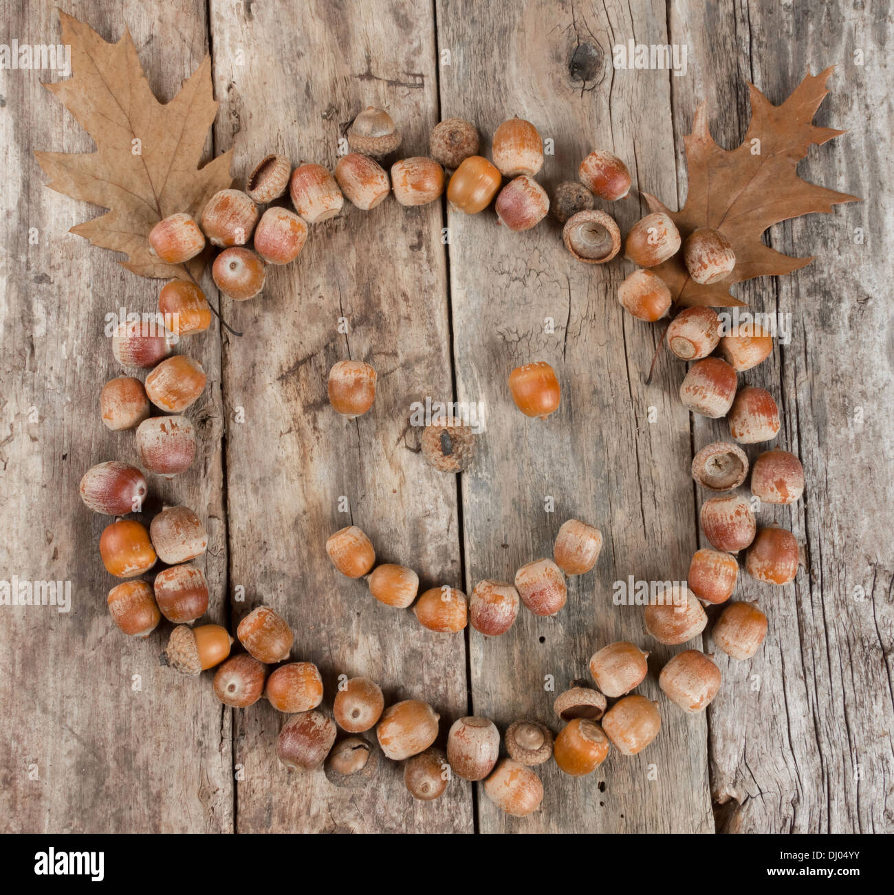 Smiling face acorn hi-res stock photography and images - Alamy