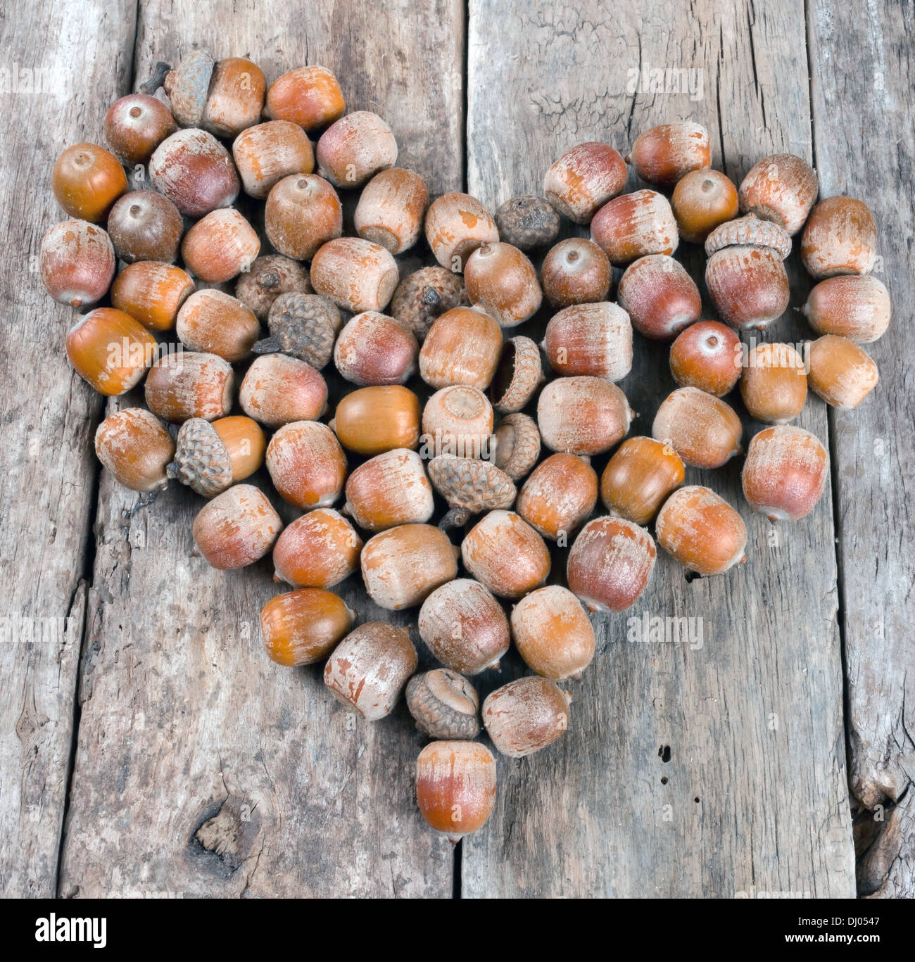 Acorns forming a heart on a wooden background Stock Photo - Alamy