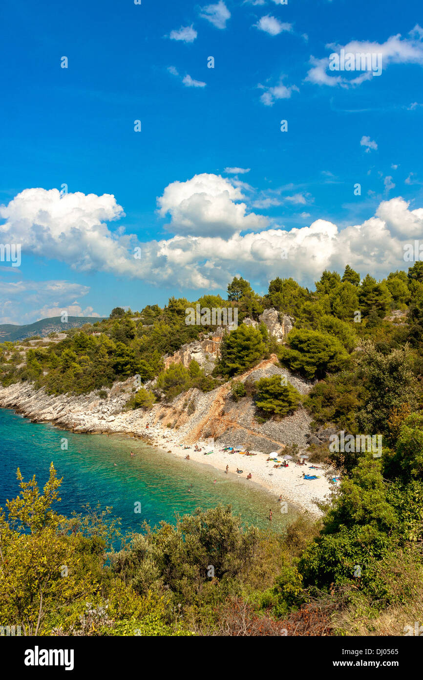 Vaja hi-res stock photography and images - Alamy