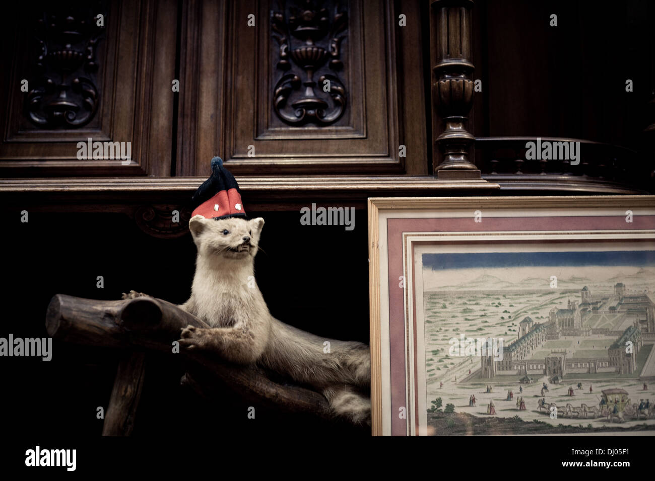 Paris, France documenting stuffed animals across the Parisian area ...