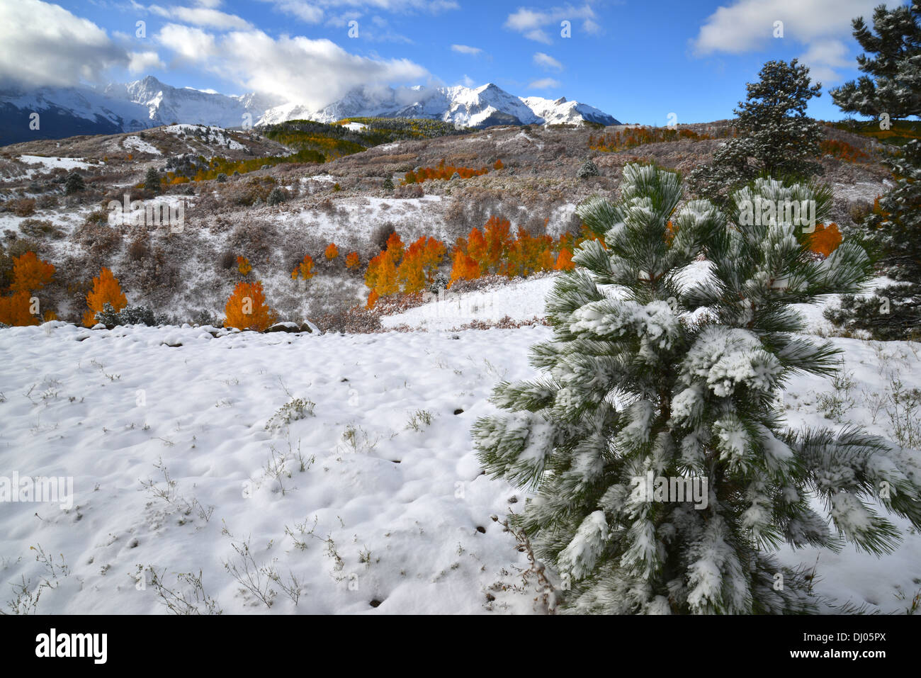Fall color comes to Colorado landscape Stock Photo - Alamy