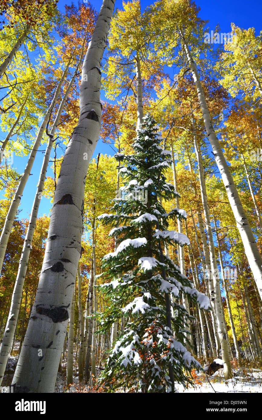 Colorado color hi-res stock photography and images - Alamy