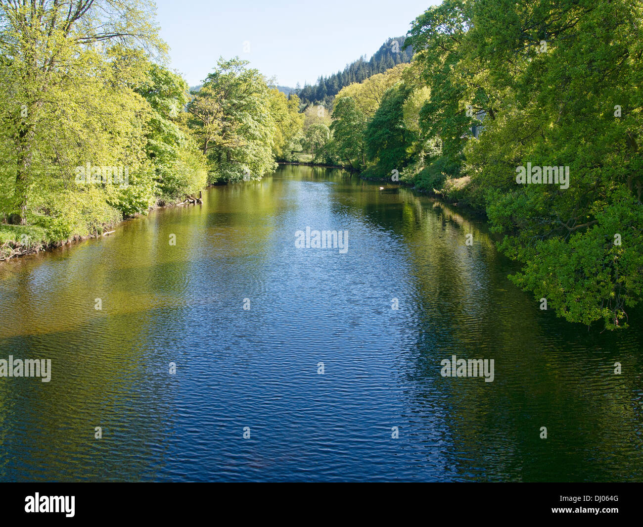 welsh river in spring Stock Photo - Alamy