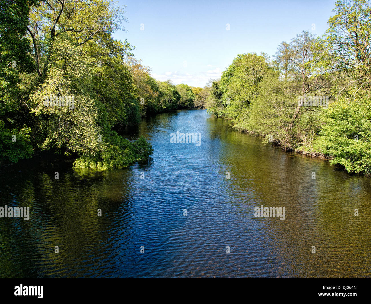 welsh river in spring Stock Photo - Alamy