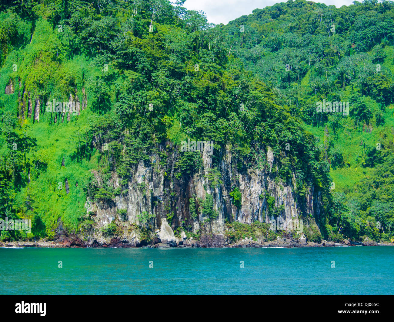 Cocos island costa rica forest hi-res stock photography and images - Alamy