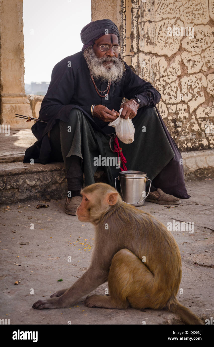 Indian man with monkey Jaipur Stock Photo: 62700222 - Alamy