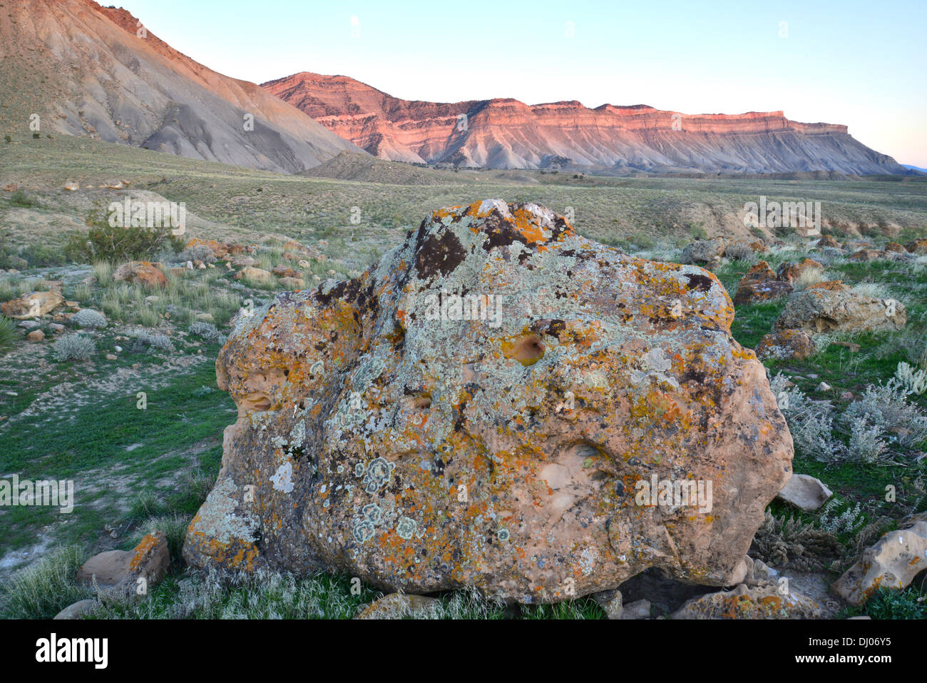 Lichen covered rocks adorn the desert landscape beneath the Bookcliffs ...