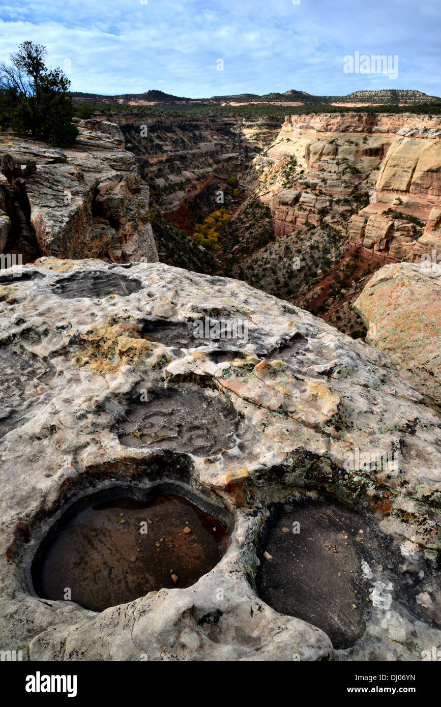 Shivers of hi-res stock photography and images - Alamy