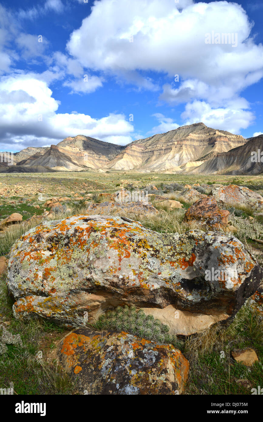 Lichen covered rocks adorn the desert landscape beneath the Bookcliffs ...