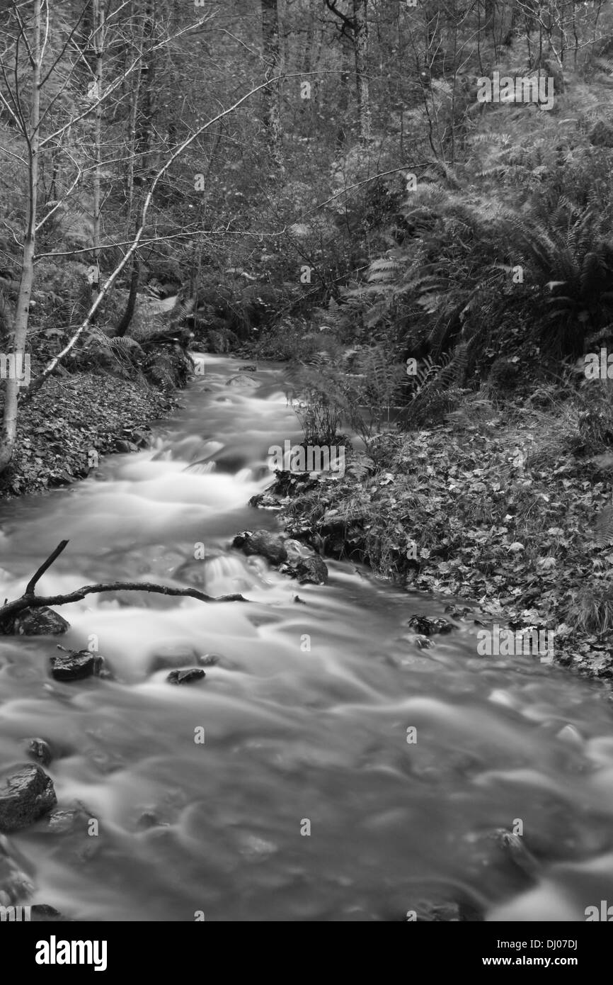 Fast Shutter Speed Photography Black And White