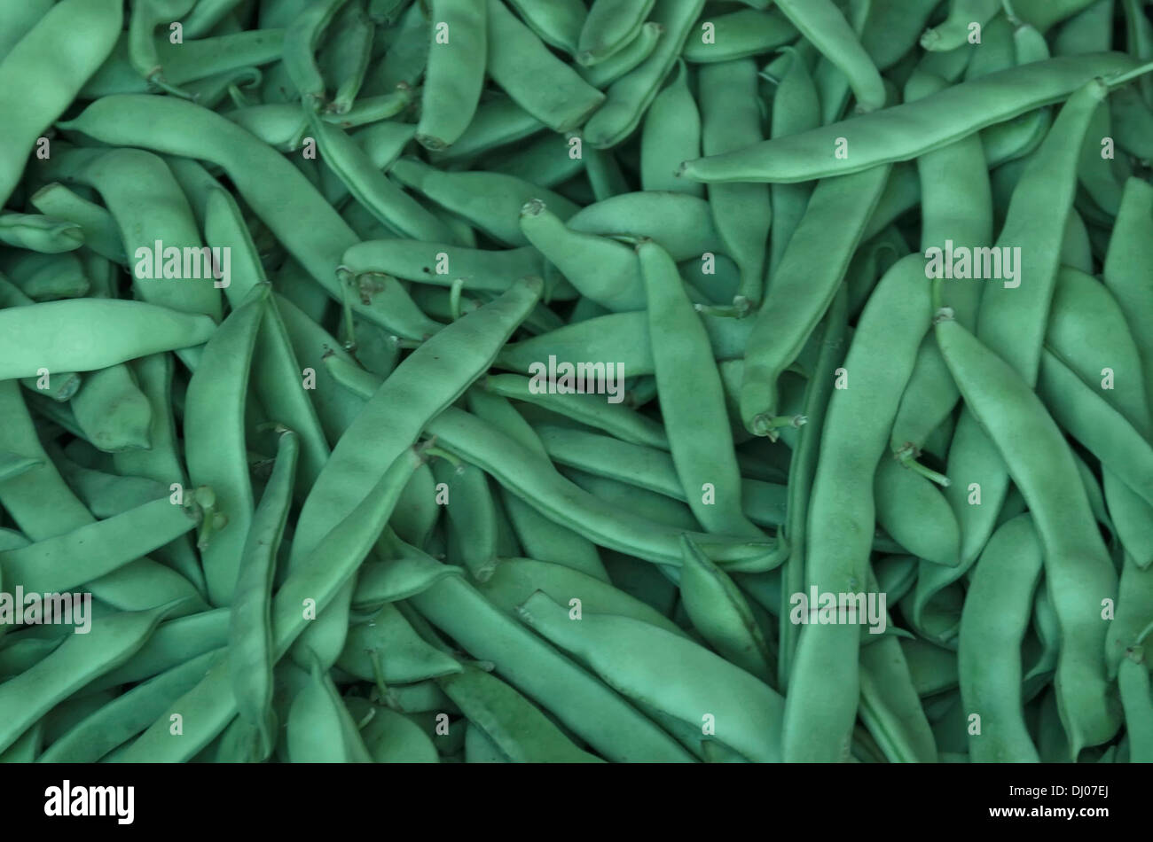 French vegetable hi-res stock photography and images - Alamy