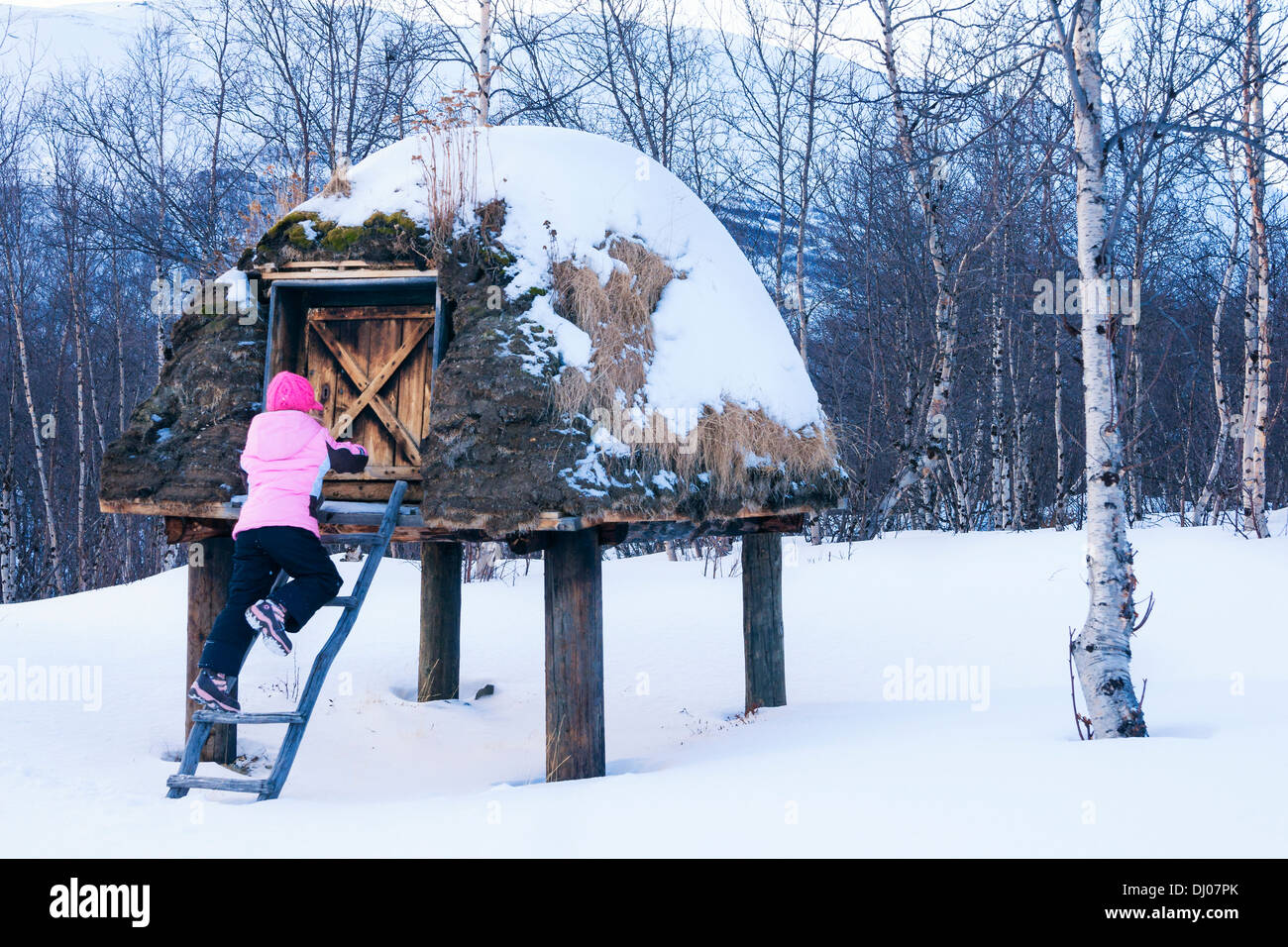 A young girl explores a Sami Turf Hut (Darfegoahti) in a winter forest ...