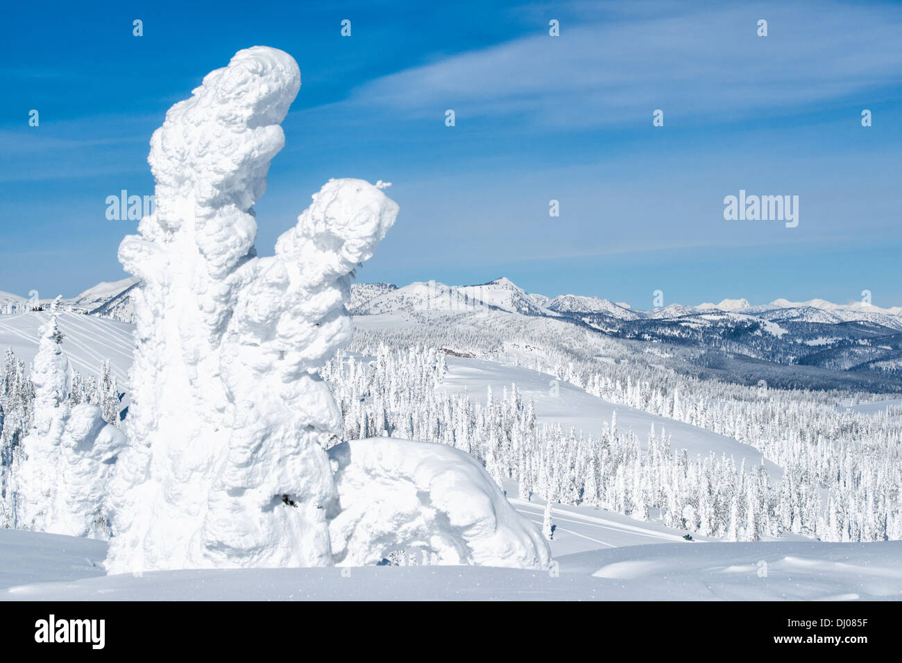 Two Large Trees Snow Mountains