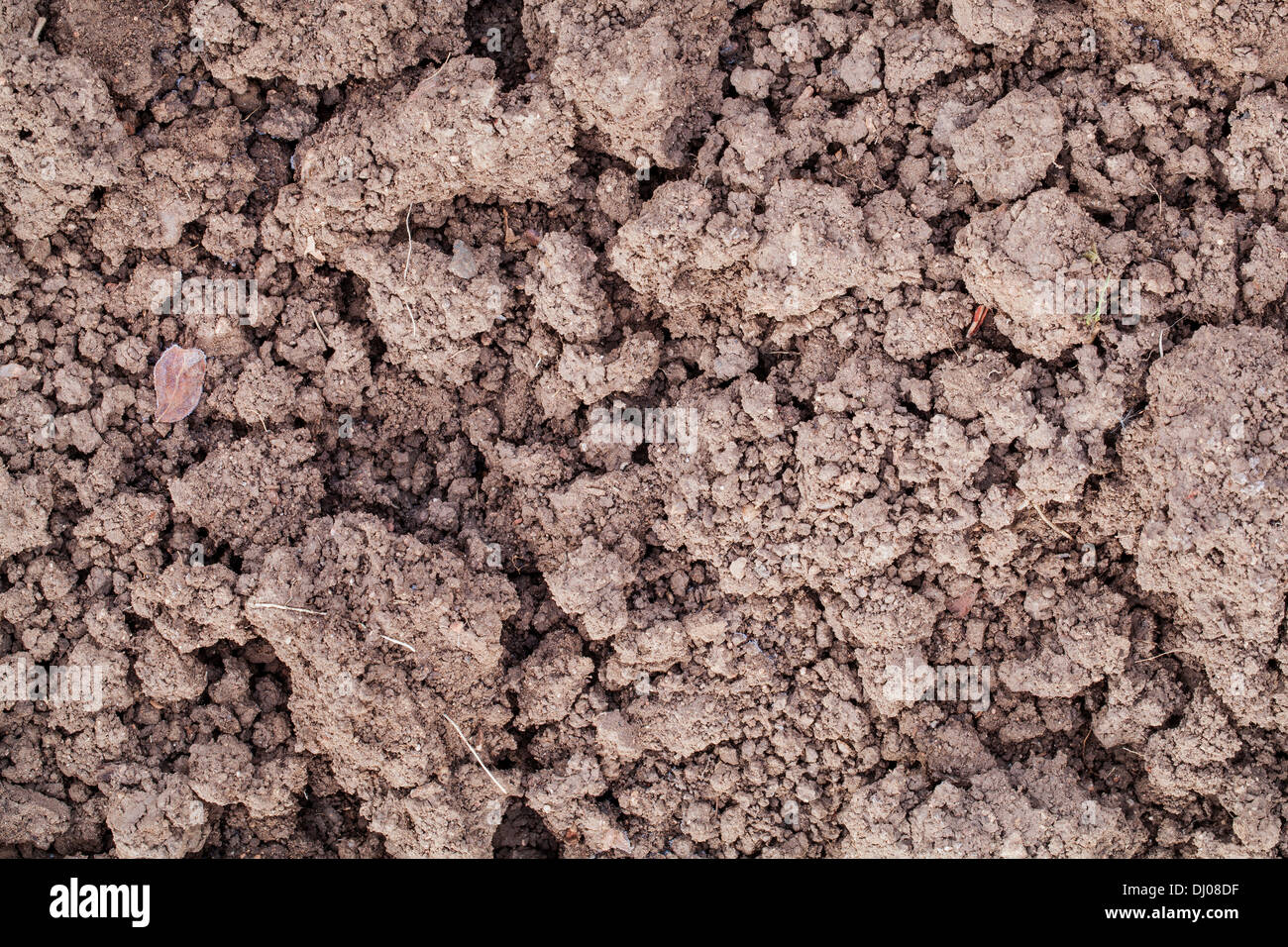 Seamless Potting Soil Texture