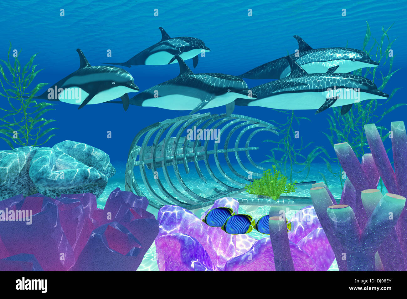 Old dolphin hi-res stock photography and images - Alamy