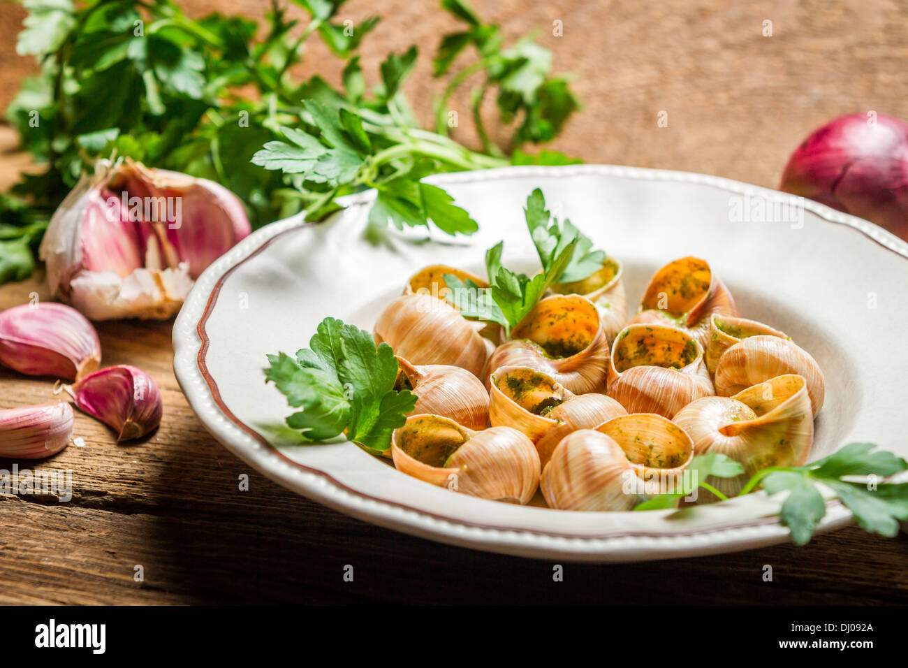 Closeup of baked snails with garlic butter Stock Photo - Alamy
