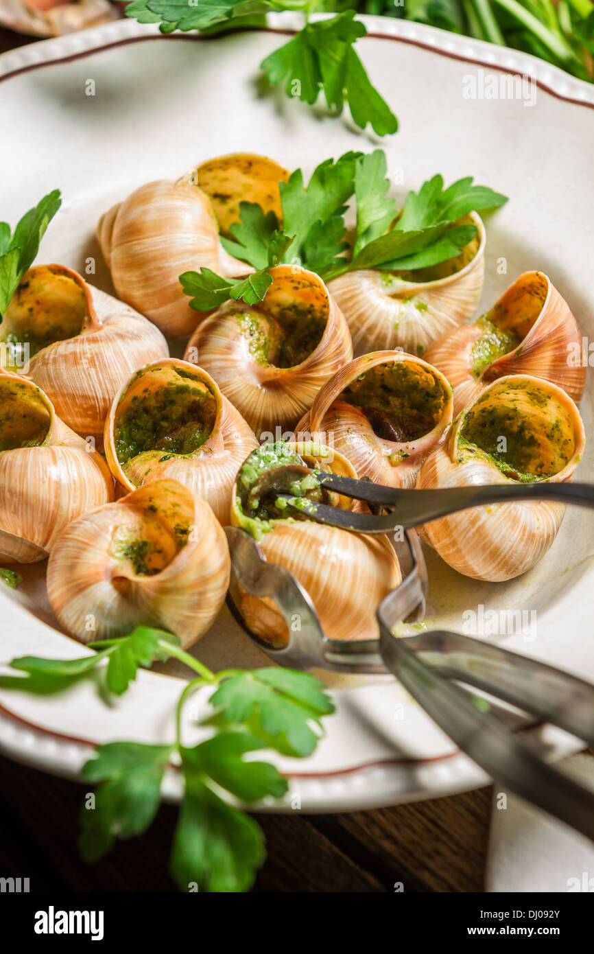 Snails baked in garlic butter served on a plate Stock Photo - Alamy