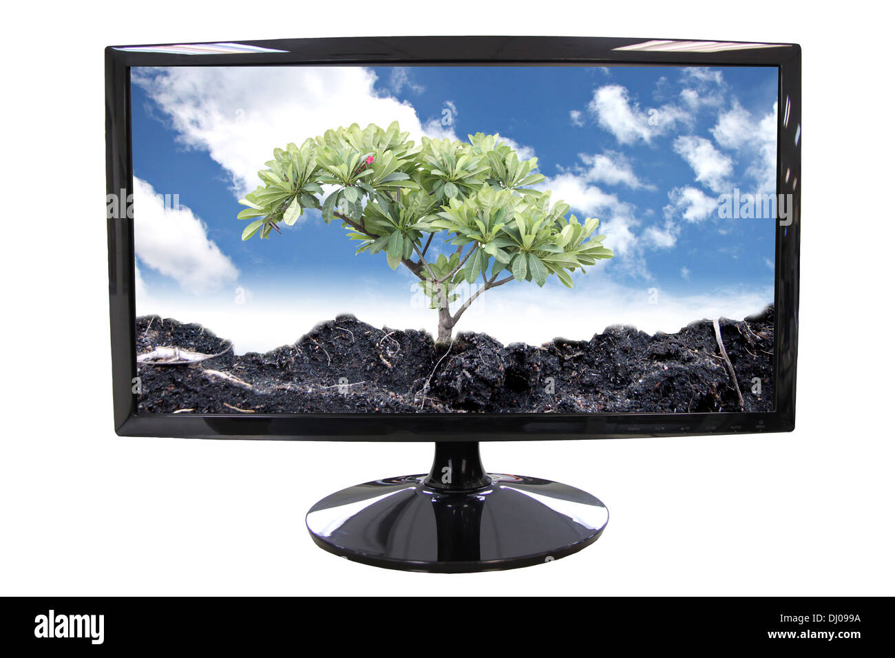 Tree and Blue sky images in computer screen on white background Stock ...