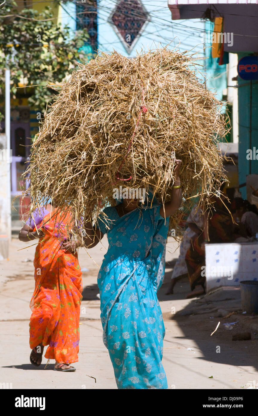 Indian woman carrying bundle in hi-res stock photography and images - Alamy