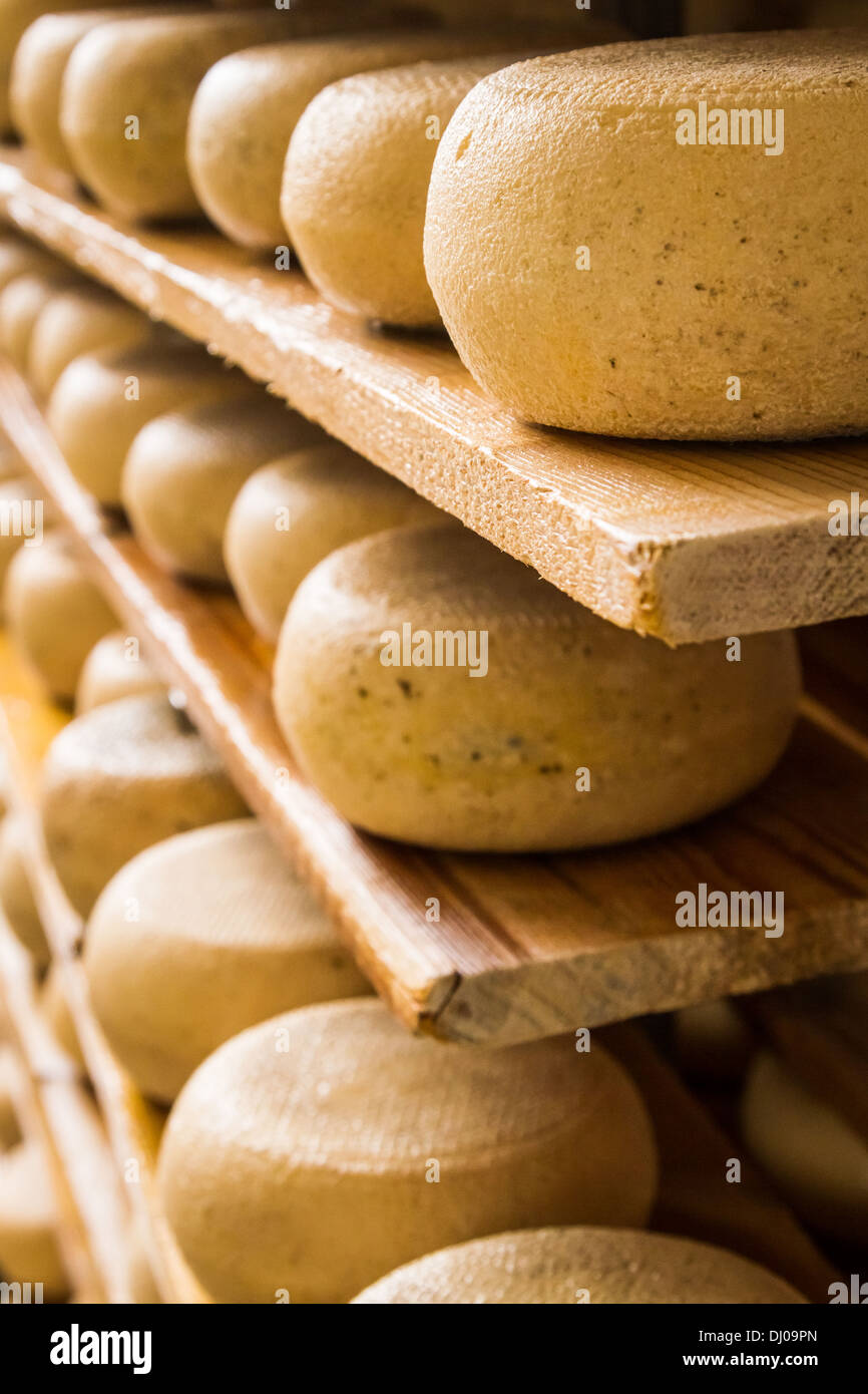 Ripened cheeses lying on wooden shelves Stock Photo - Alamy Ripened cheeses lying on wooden shelves Stock Photo - Alamy