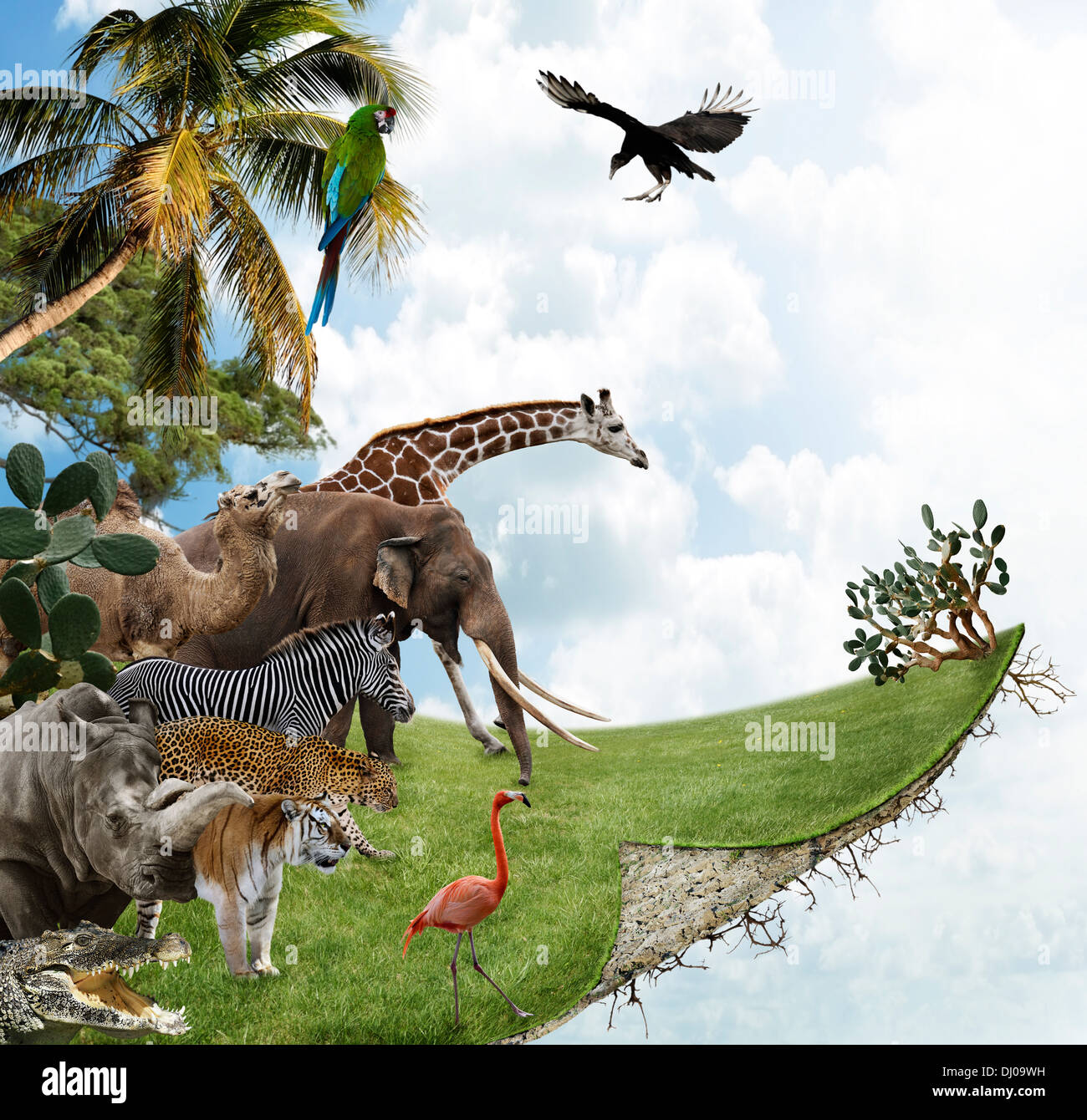 Nature Concept With Wild Animals Stock Photo - Alamy